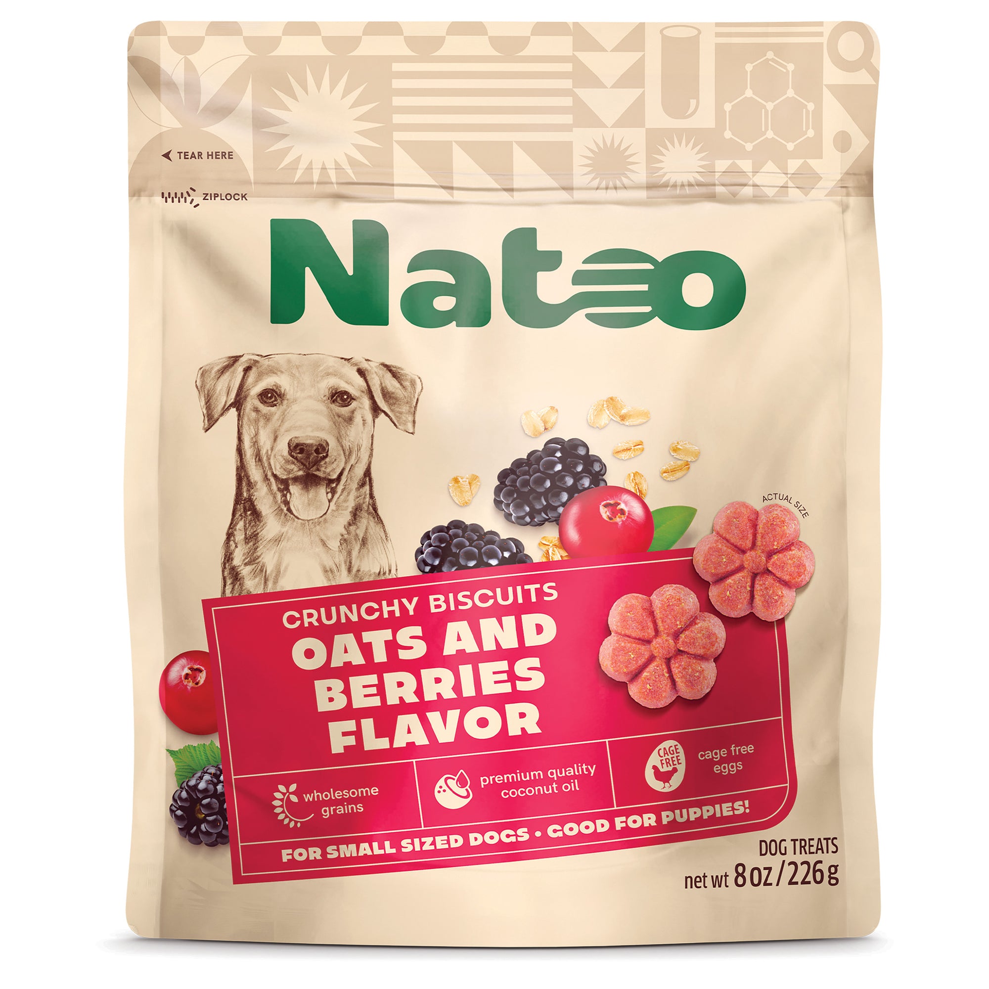 Natoo Salmon & Brown Rice in Broth (20 pack)